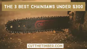 Best Gas-Powered Chainsaw Under $300 - Cut The Timber